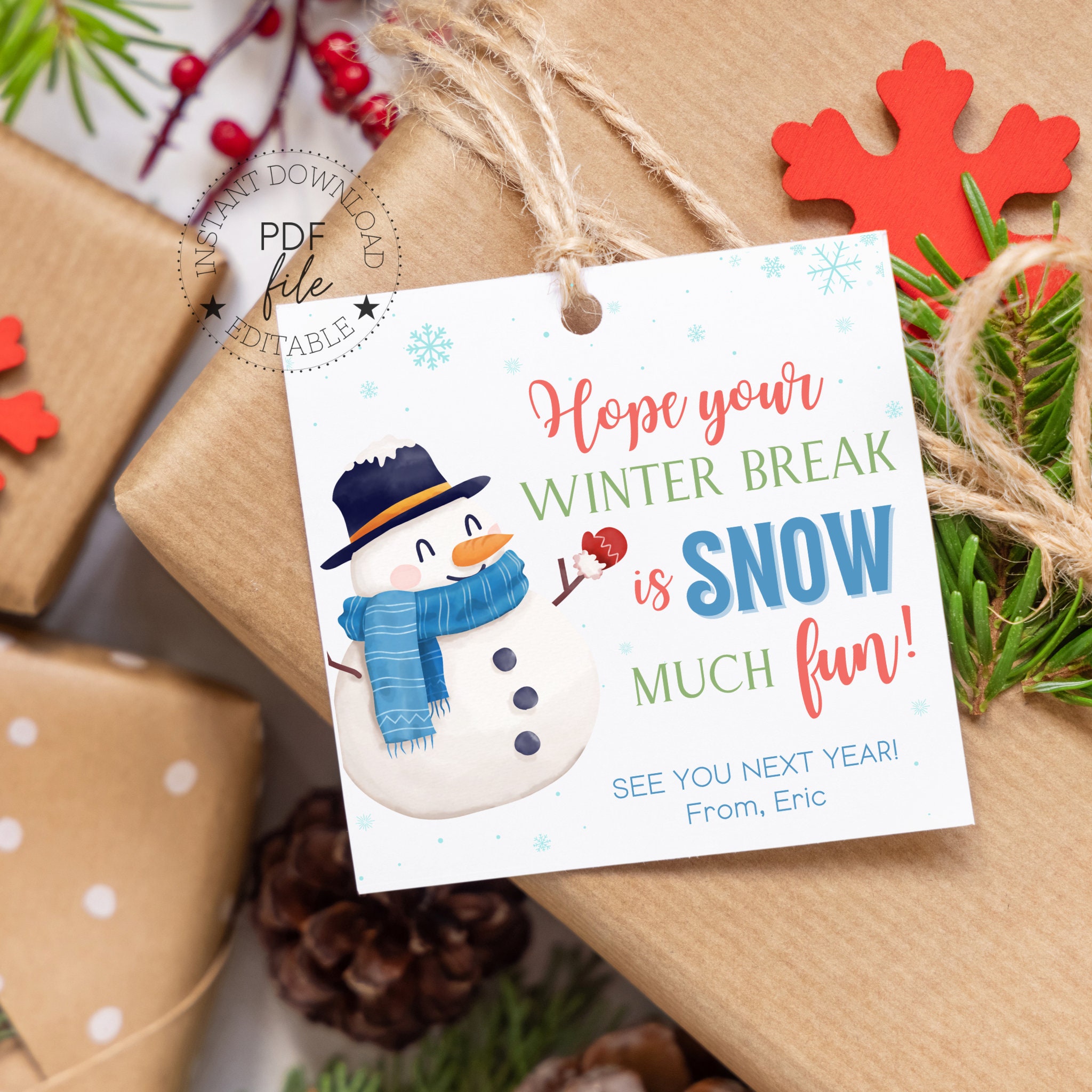 Hope Your Winter Break is SNOW Much Fun Gift Tag | Printable Merry ...