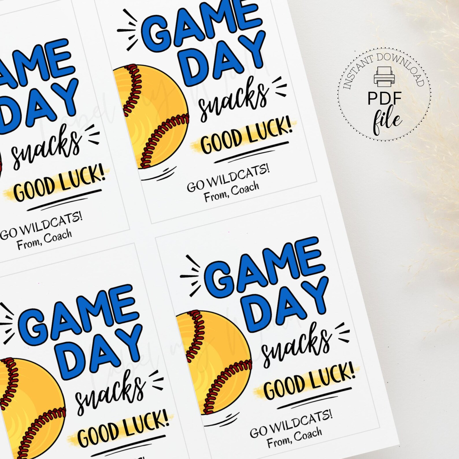 Printable Softball Game Day Snacks Tag, Personalized Good Luck 2.5x3.5 ...