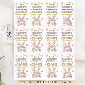 Printable I'm so Hoppy to Have You in My Class Gift Tag, Classroom ...