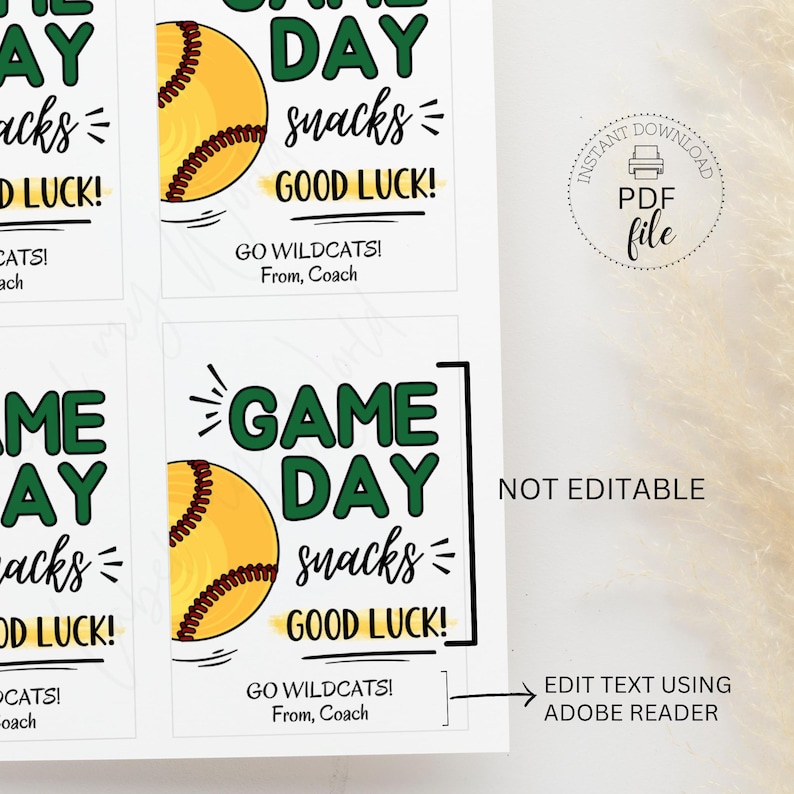 Printable Softball Game Day Snacks Tag, Personalized Good Luck 2.5x3.5 ...