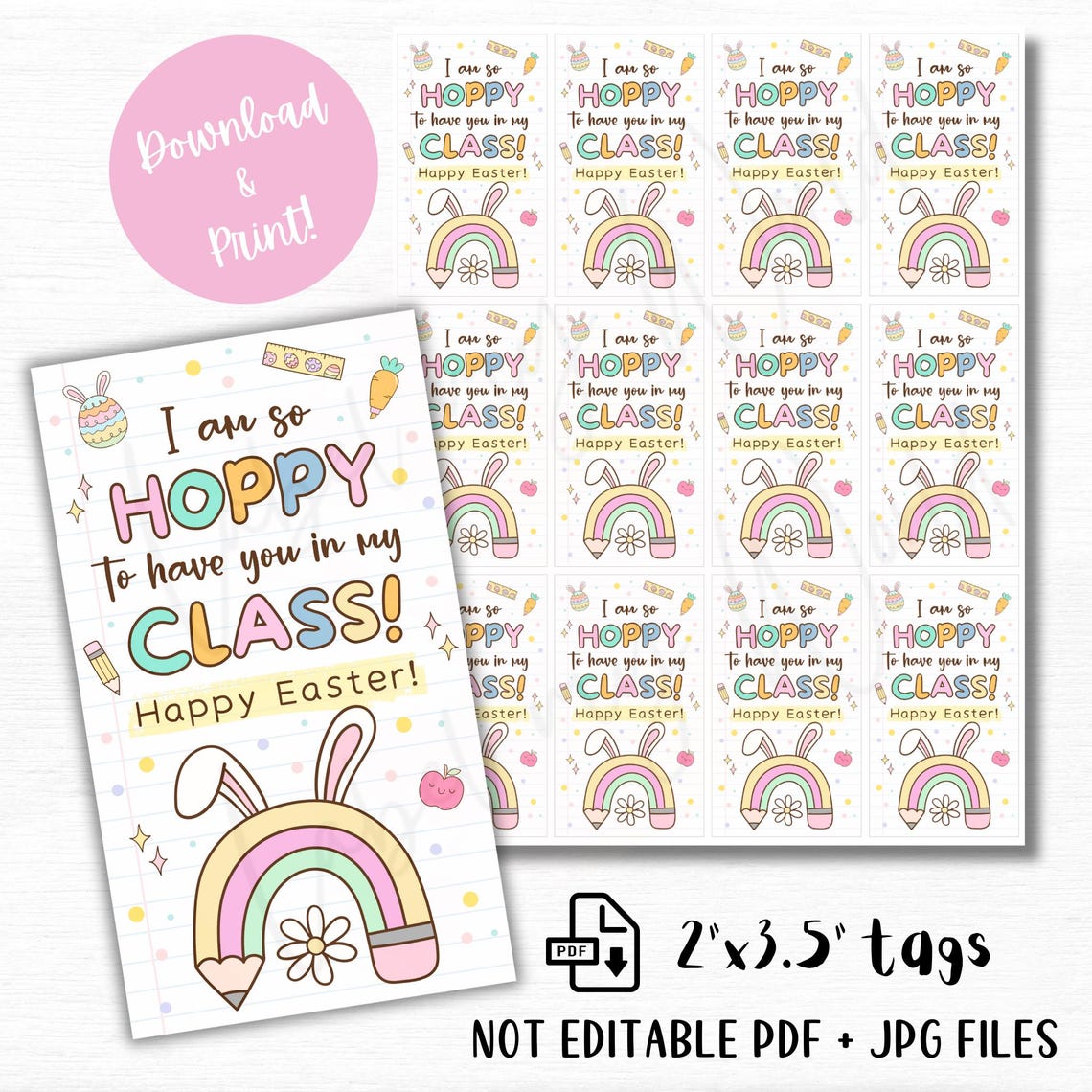 Printable I'm so Hoppy to Have You in My Class Gift Tag, Classroom ...