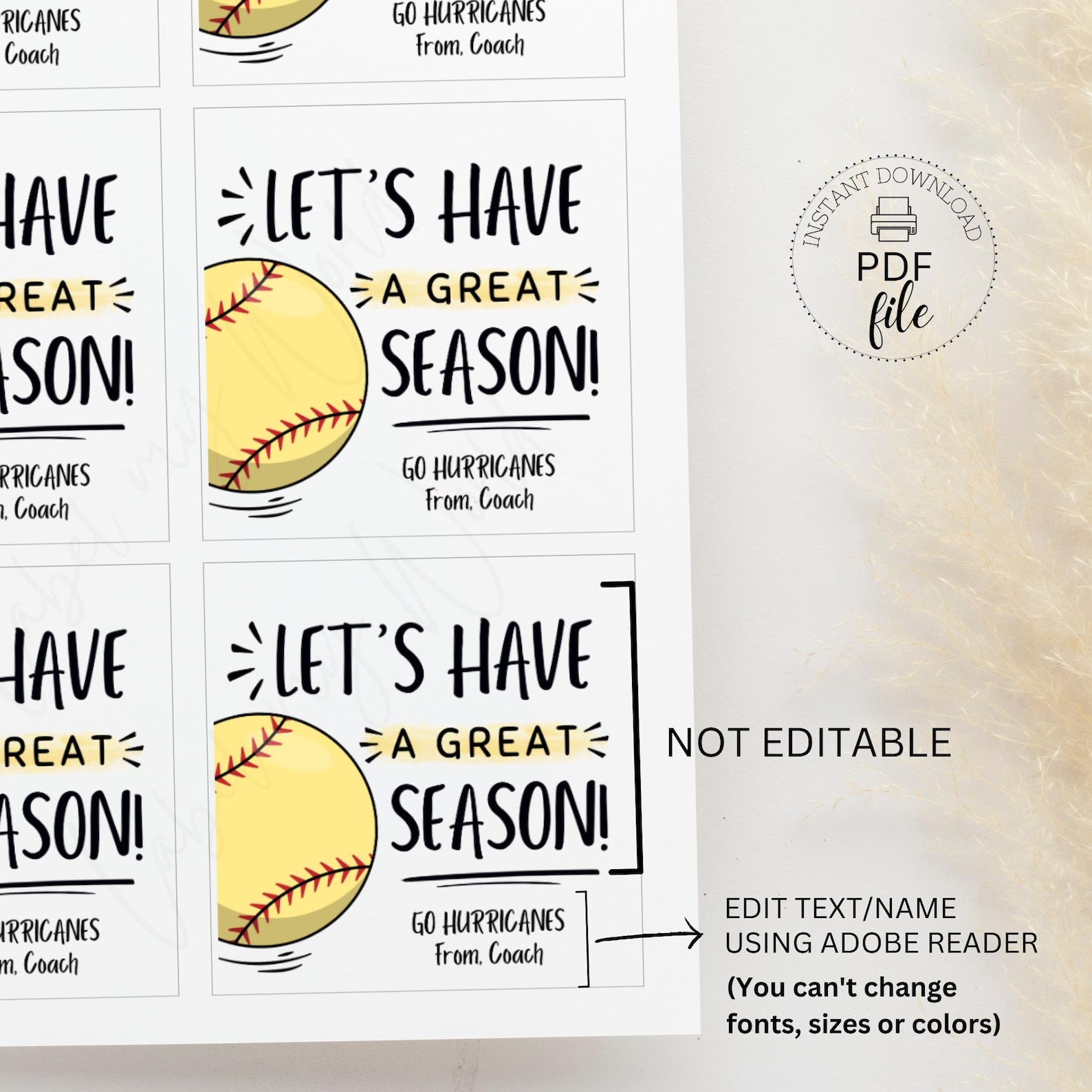 Printable Softball Season Gift Tag, Let's Have a Great Season ...