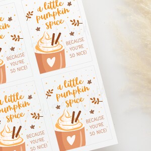Printable A Little Pumpkin Spice Because You're so Nice Treat Tag ...