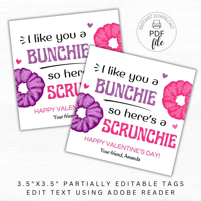 Printable Hair Scrunchie Gift Tag, I Like You a Bunchie Favor Tags (PDF ...