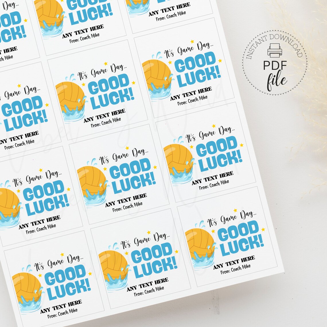 Printable Water Polo Good Luck Tags, Personalized Cheer Team Gift Tag ...