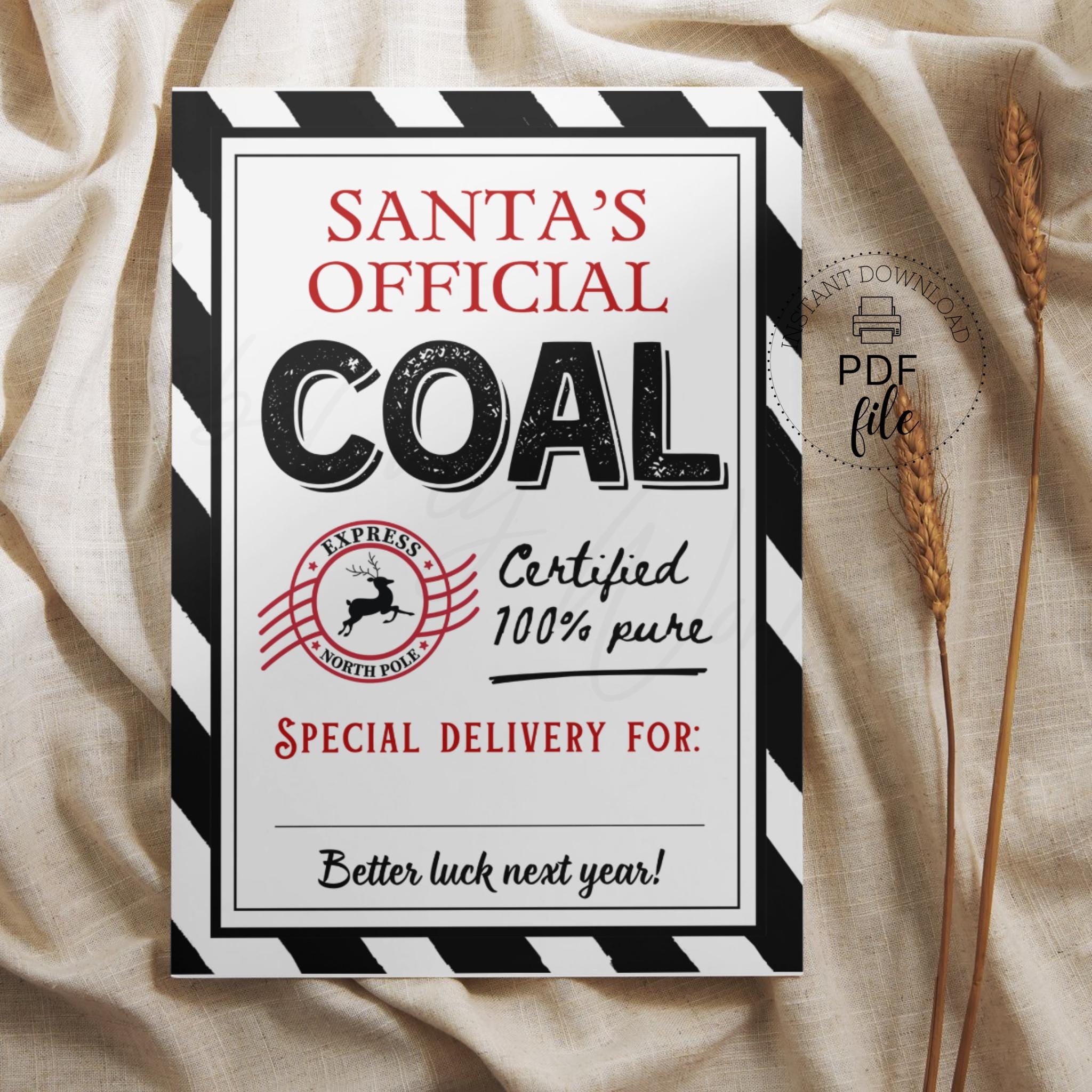 Printable Christmas Coal Tags, North Pole Special Delivery Favor Tag ...