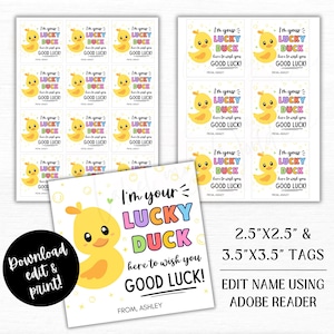 Printable I'm Your Lucky Duck Here to Wish You Good Luck Personalized 2 ...