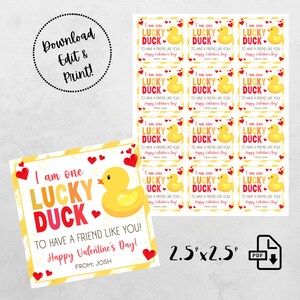 I Am One Lucky Duck Valentine's Day Gift Tag | Printable Classroom ...