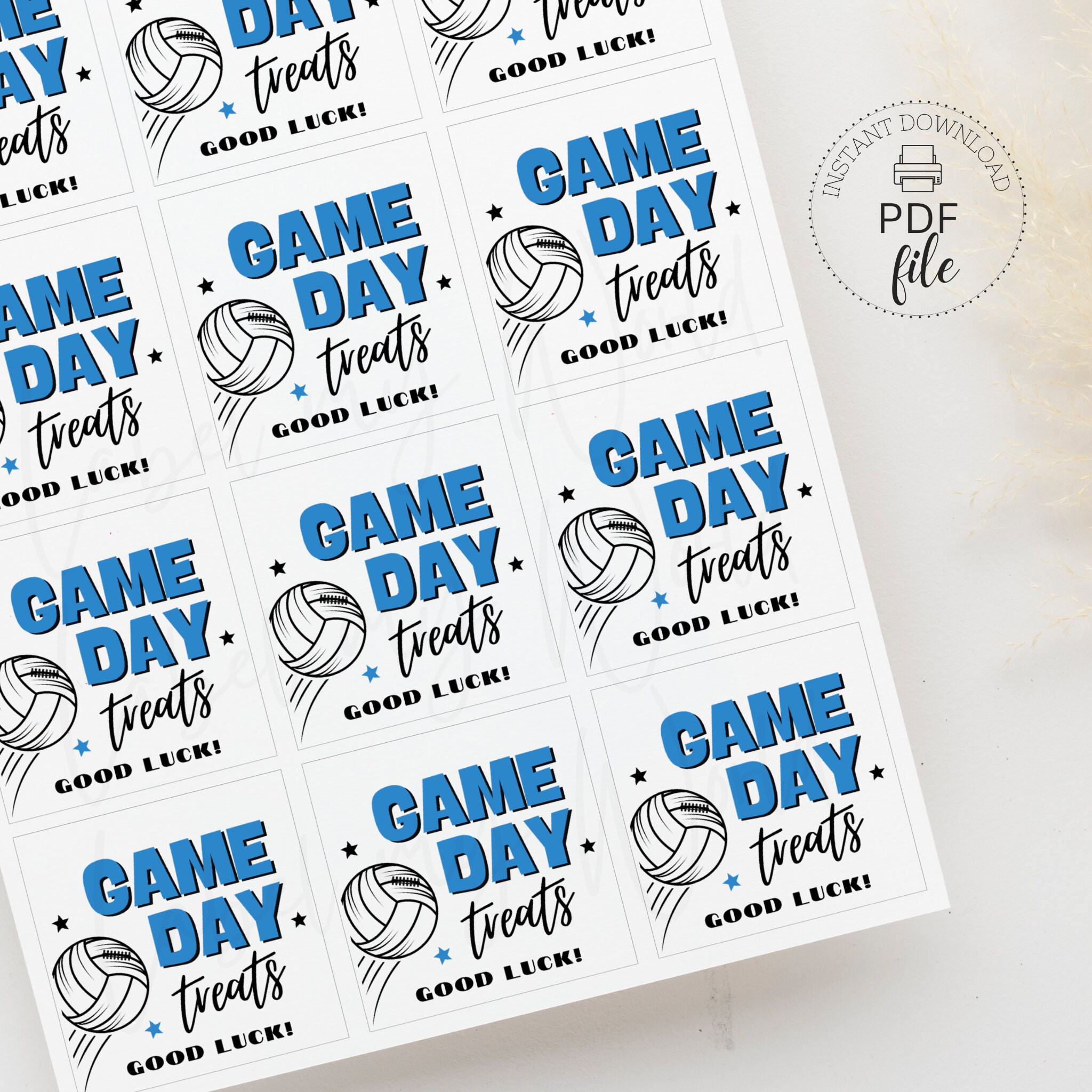 Printable Volleyball Game Day Tags Game Day Treats Good Luck Gift Tag ...
