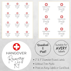 Hangover Recovery Kit Sticker | Bachelorette Party/weekend Round ...