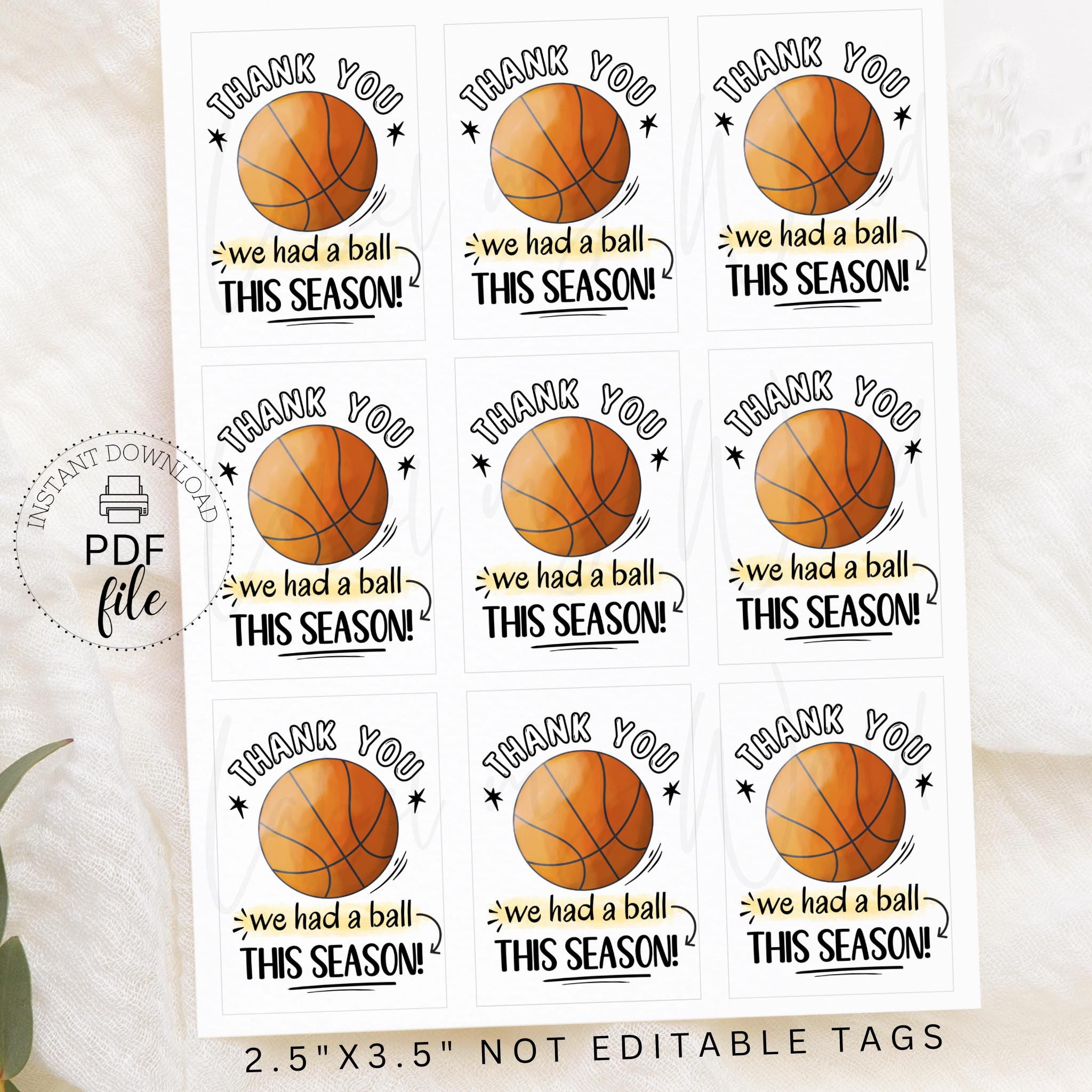 Printable Basketball End of Season Tags, Thank You We Had a Ball This ...