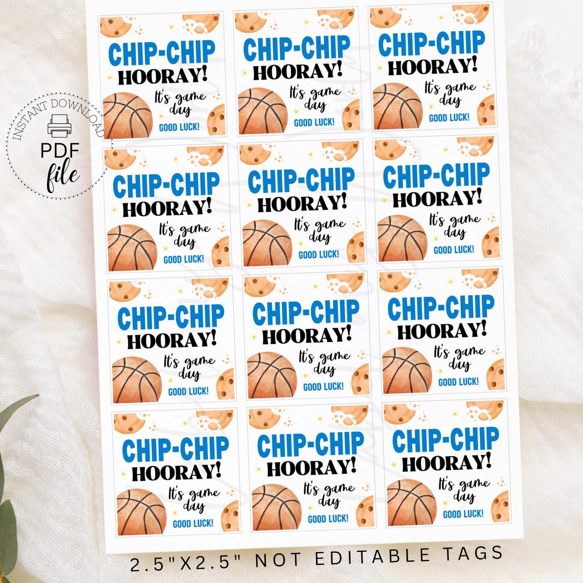 Basketball Chip Chip Hooray It's Game Day Good Luck Gift Tags ...