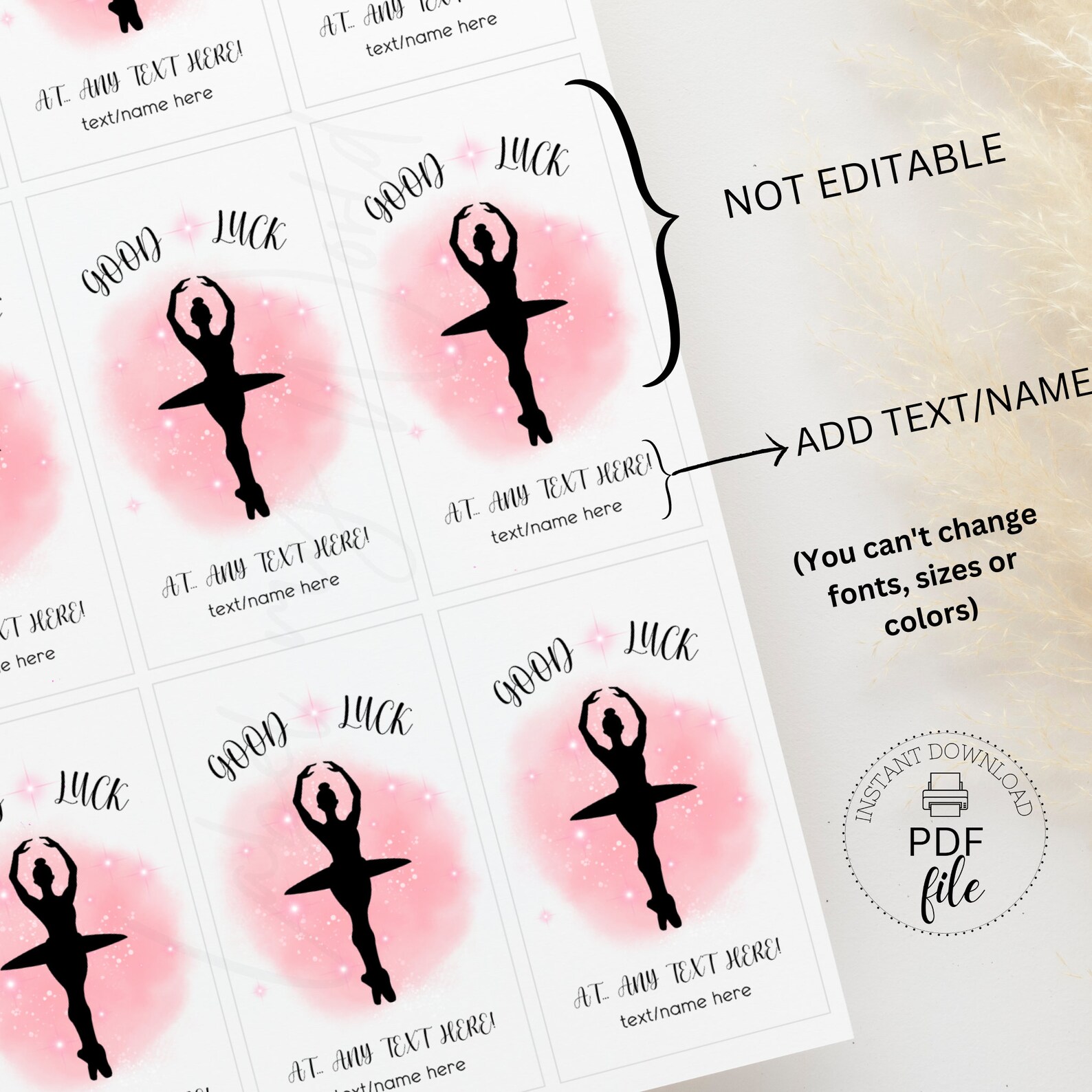 Printable Good Luck Ballerina Gift Tags, Personalized Ballet Dancer ...