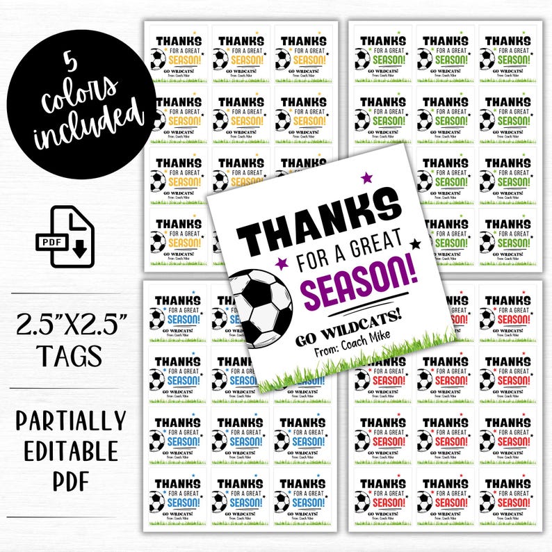 Printable/personalized End of Season Soccer Tags | Thanks for a Great ...
