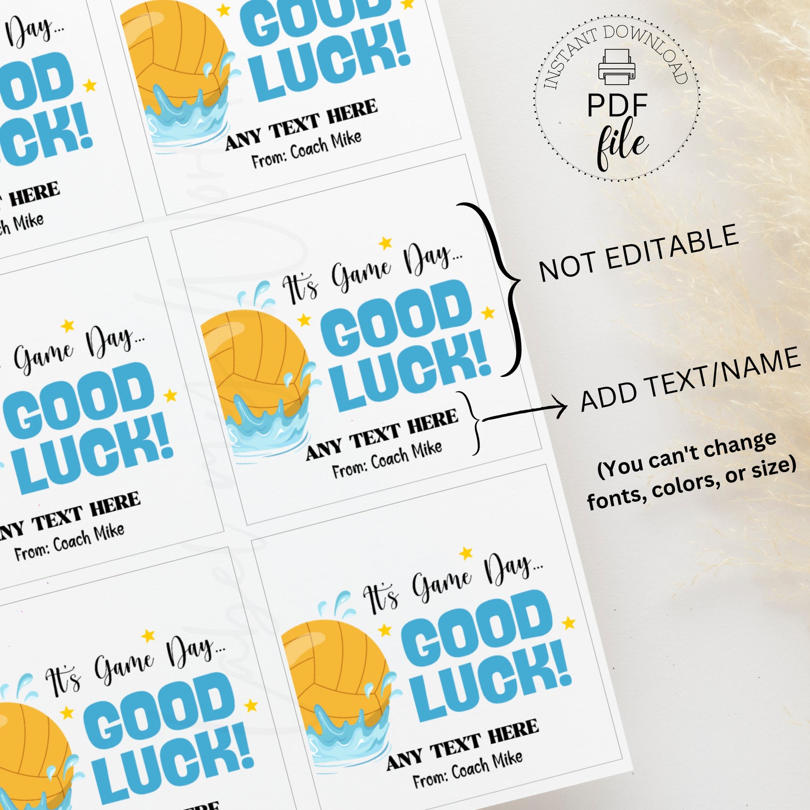 Printable Water Polo Good Luck Tags, Personalized Cheer Team Gift Tag ...