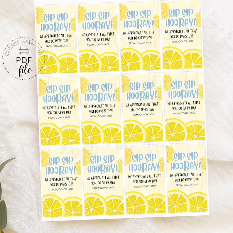 Appreciation Lemonade/water Gift Tag, Printable School/employee/nurse ...