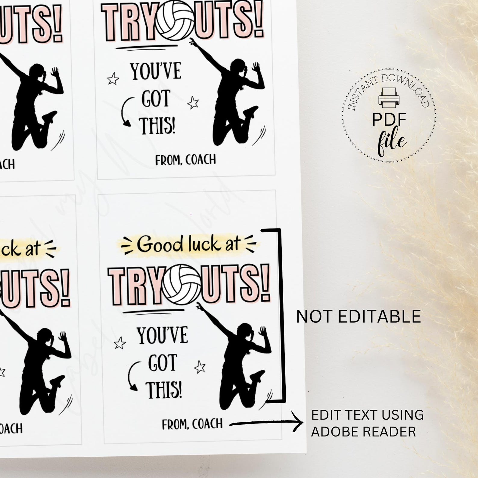 Volleyball Good Luck at Tryouts Printable Gift Tag, Personalized You've ...