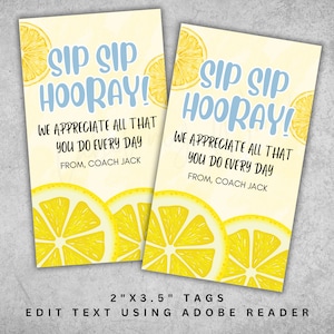 Appreciation Lemonade/water Gift Tag, Printable School/employee/nurse ...