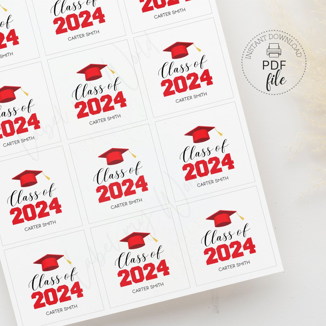 Graduation Red Grad Cap Gift Tag | Editable Class of 20xx Graduate Name ...