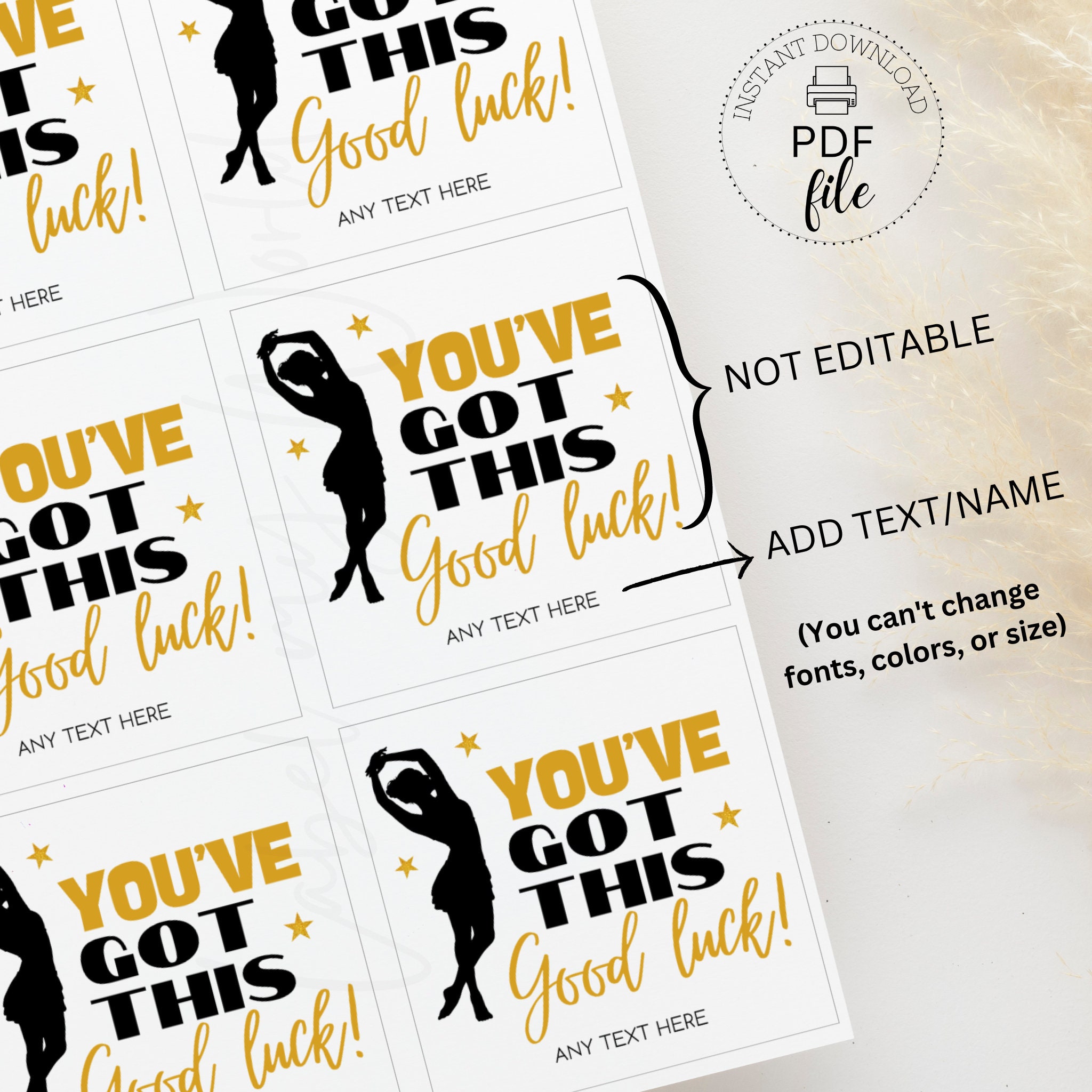 Printable Dance Good Luck Tags | Personalized You've Got This Gift Tag ...
