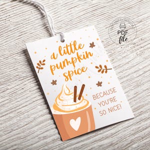 Printable A Little Pumpkin Spice Because You're so Nice Treat Tag ...