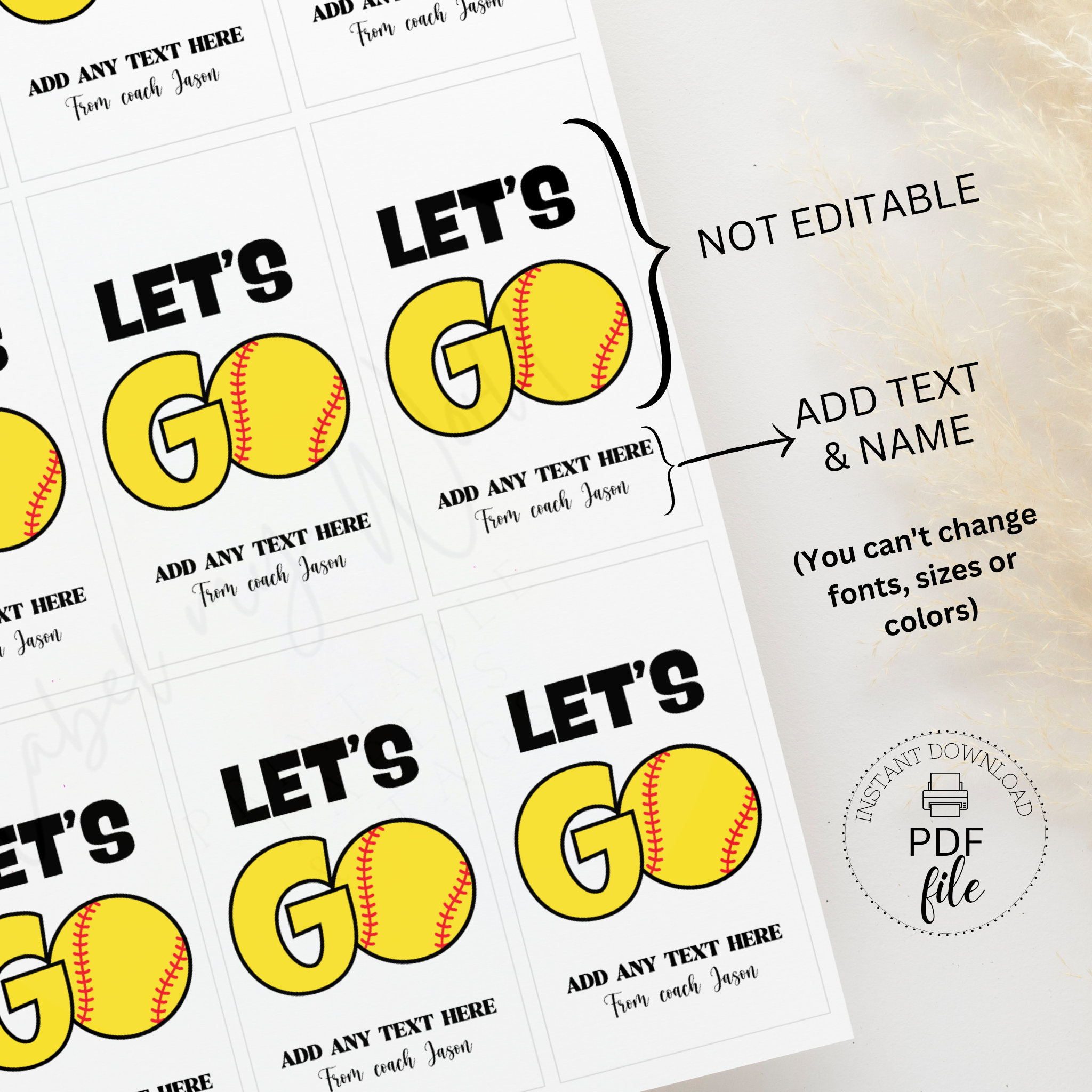Softball Team Let's Go Tags Printable Good Luck Game Day Treats Tags ...