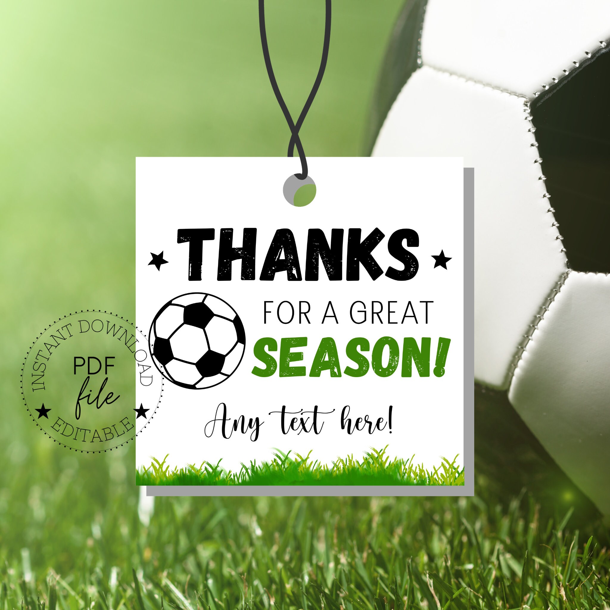 Printable/personalized End of Season Soccer Tags Thanks for a Great ...