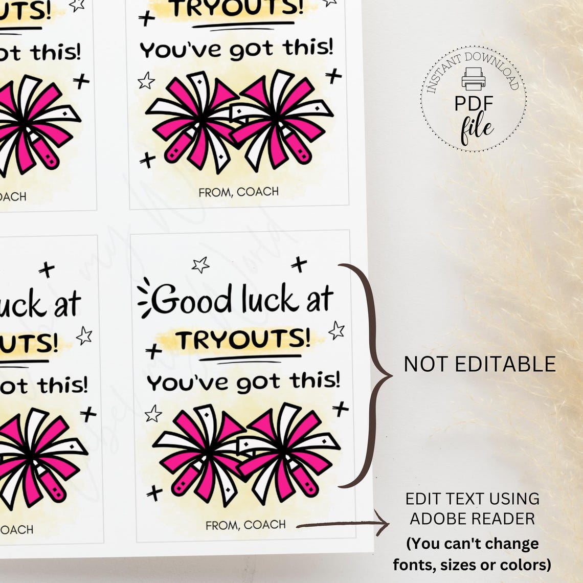 Printable Good Luck at Tryouts Dance/gymnastics/cheer Team Treat Tag ...