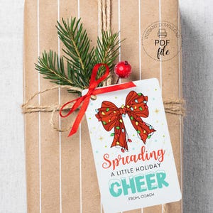 Printable Spreading a Little Holiday Cheer Tags, Personalized Sports ...