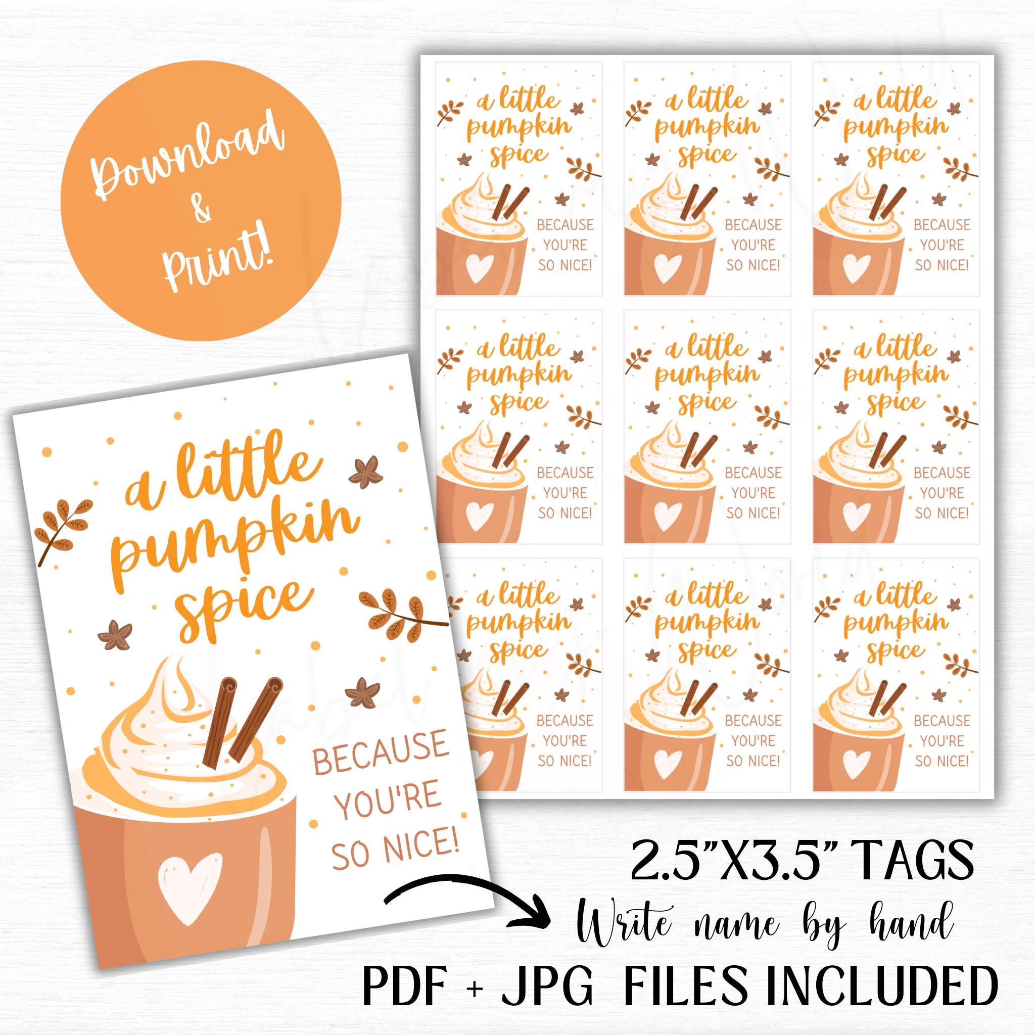 Printable A Little Pumpkin Spice Because You're so Nice Treat Tag ...