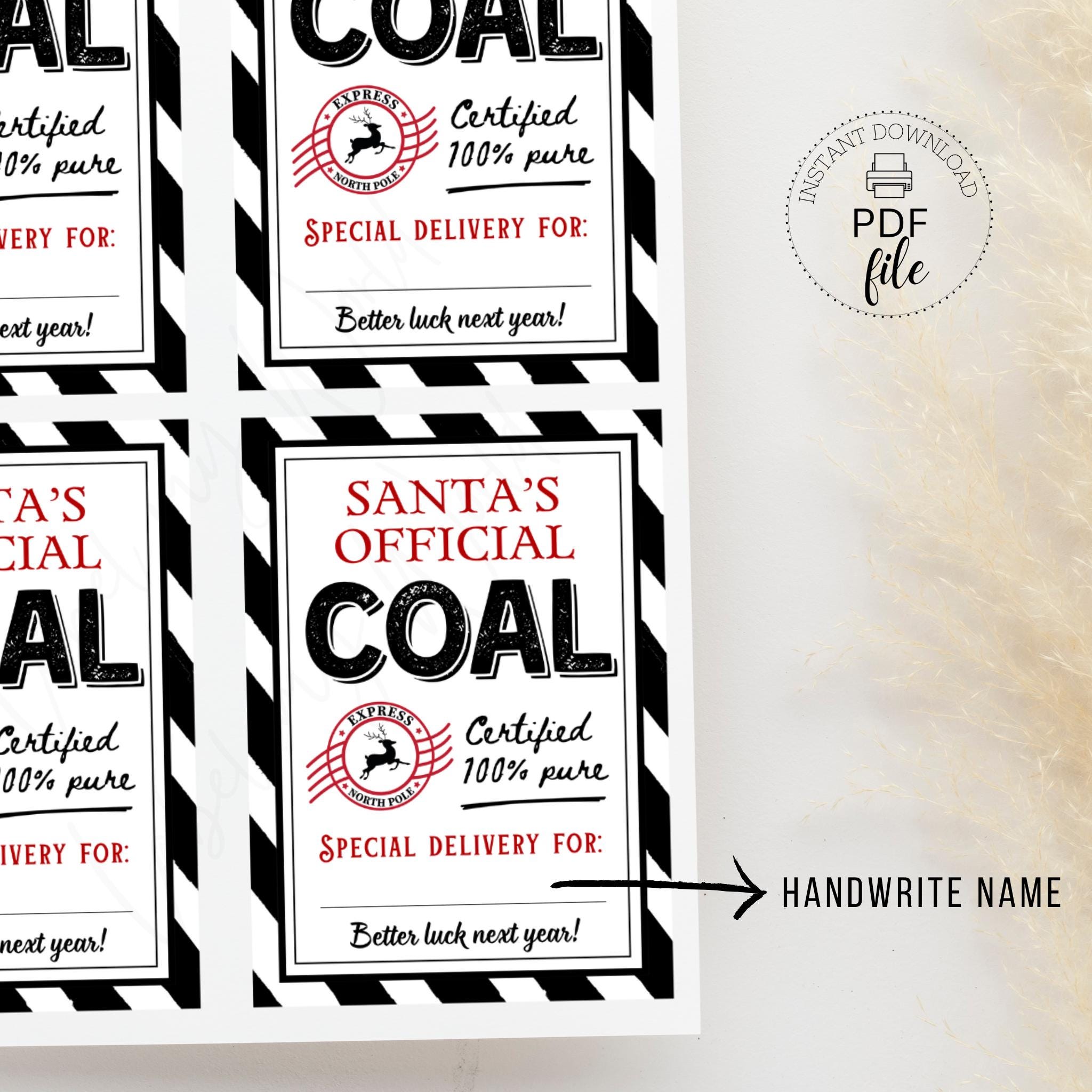 Printable Christmas Coal Tags, North Pole Special Delivery Favor Tag ...