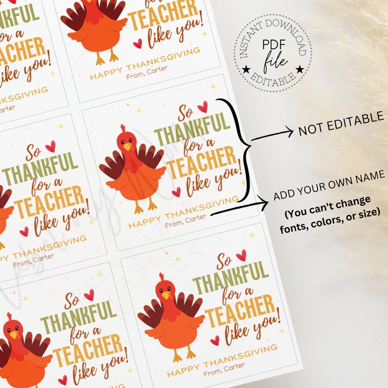 Thanksgiving Teacher Appreciation Gift Tags | Printable so Thankful for ...