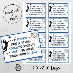 Printable Volleyball Candy Treats Tag Good Luck Volleyball Gift Tag ...