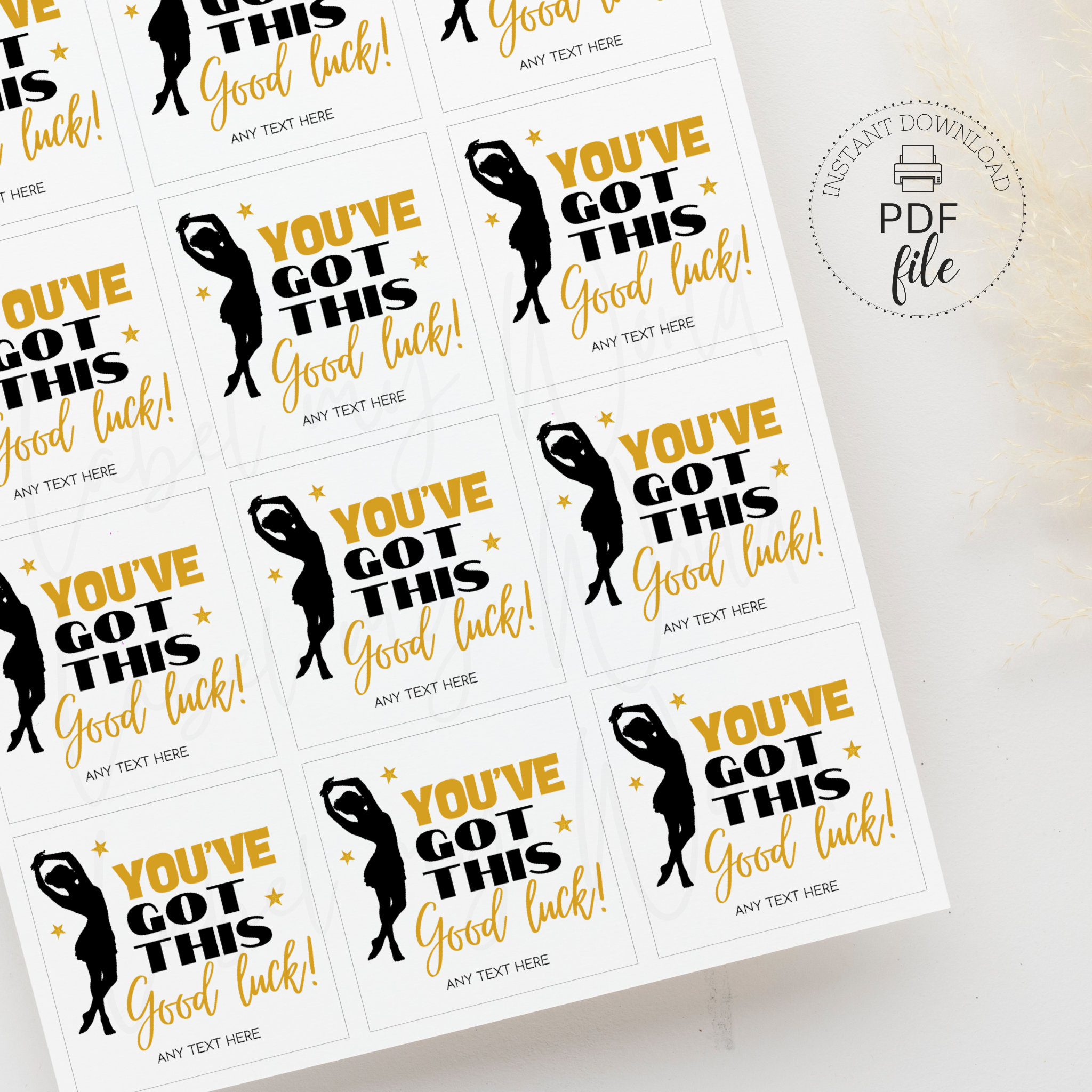 Printable Dance Good Luck Tags | Personalized You've Got This Gift Tag ...