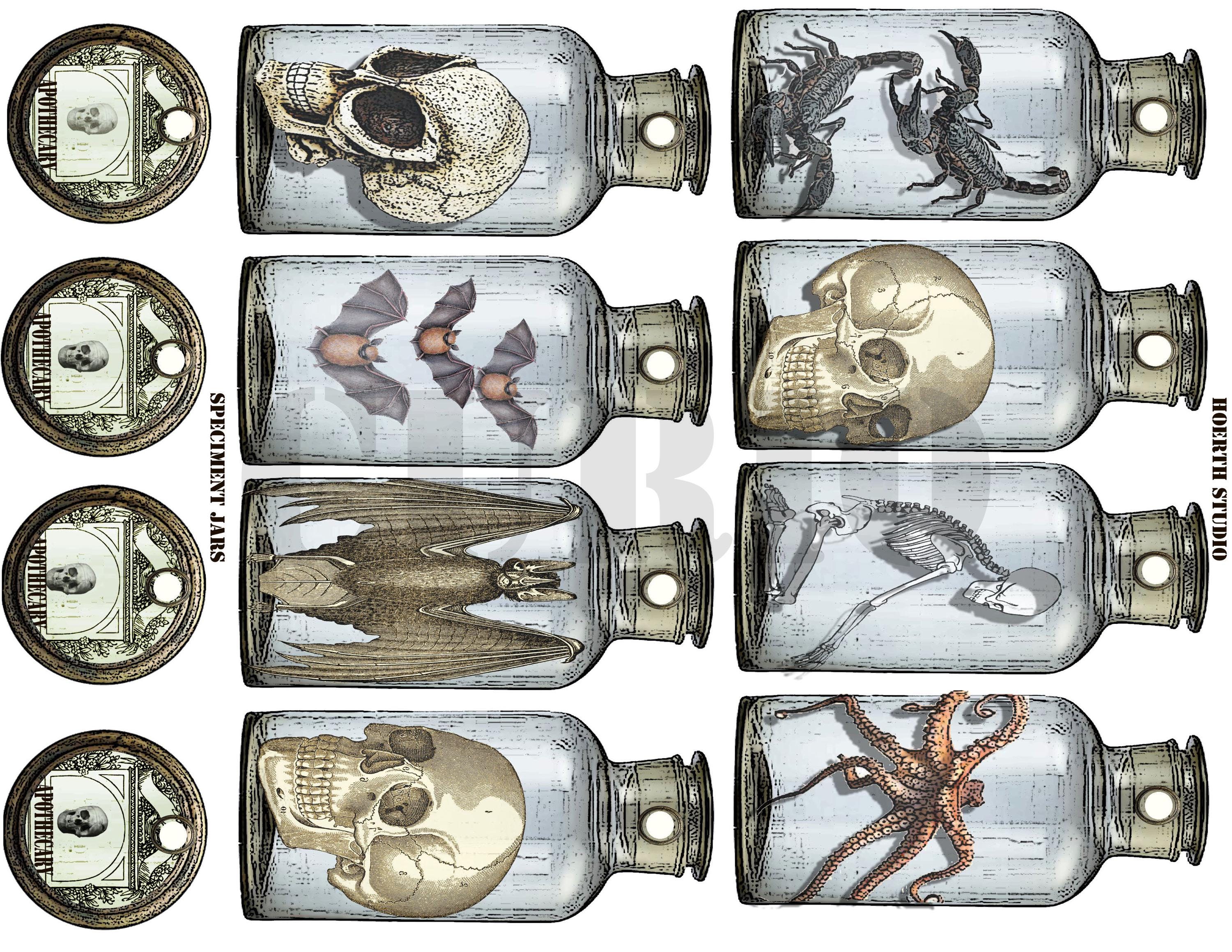 Halloween Tags Printable Labels Gothic Macabre Apothecary Speciment Jar ...