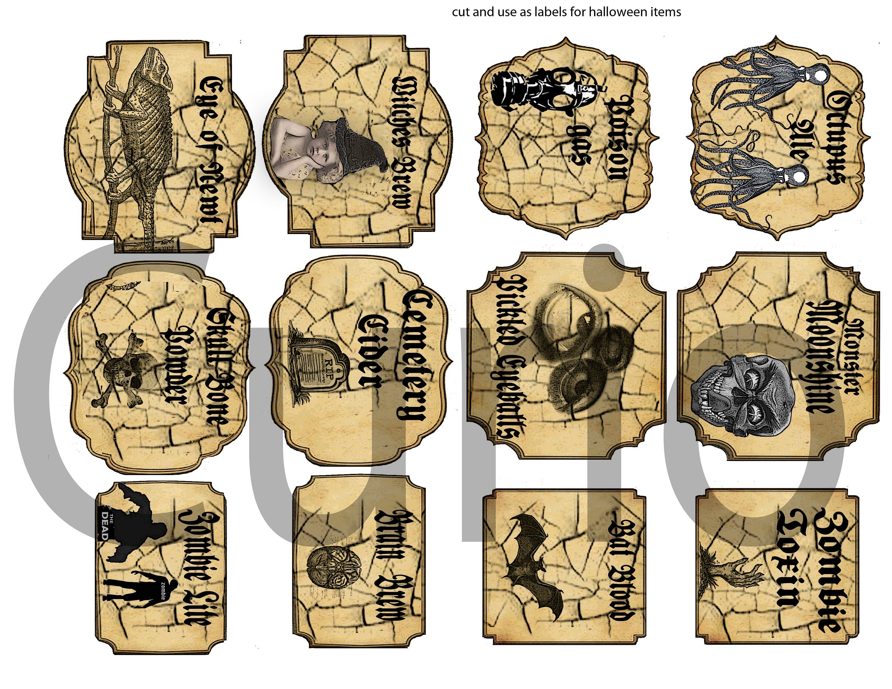 Printable Gothic Labels for Halloween Bottles and Apothecary Jars ...