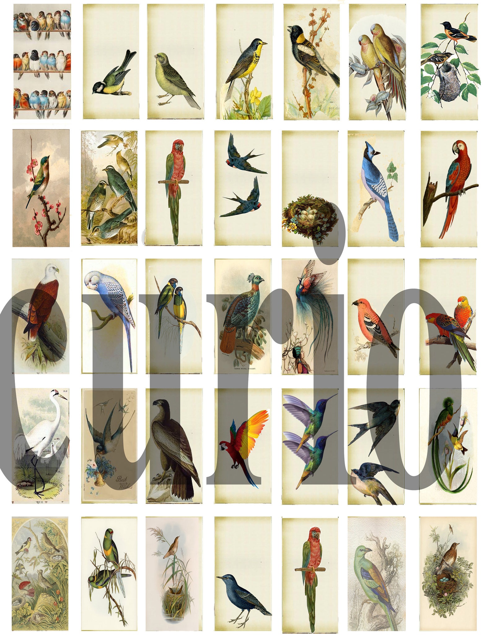 Vintage Birds Collage Sheet Printable Downloads for Journaling Craft ...