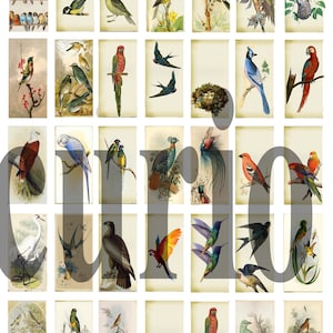 Vintage Birds Collage Sheet Printable Downloads for Journaling Craft ...