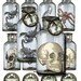 Halloween Tags Printable Labels Gothic Macabre Apothecary Speciment Jar ...