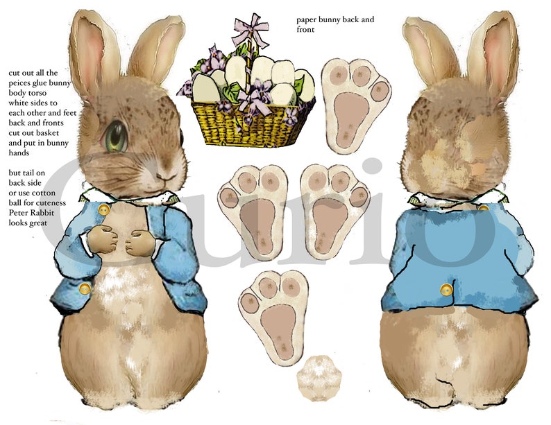 Printable Peter Rabbit Paper Doll With Movable Feet so Cute Great for ...