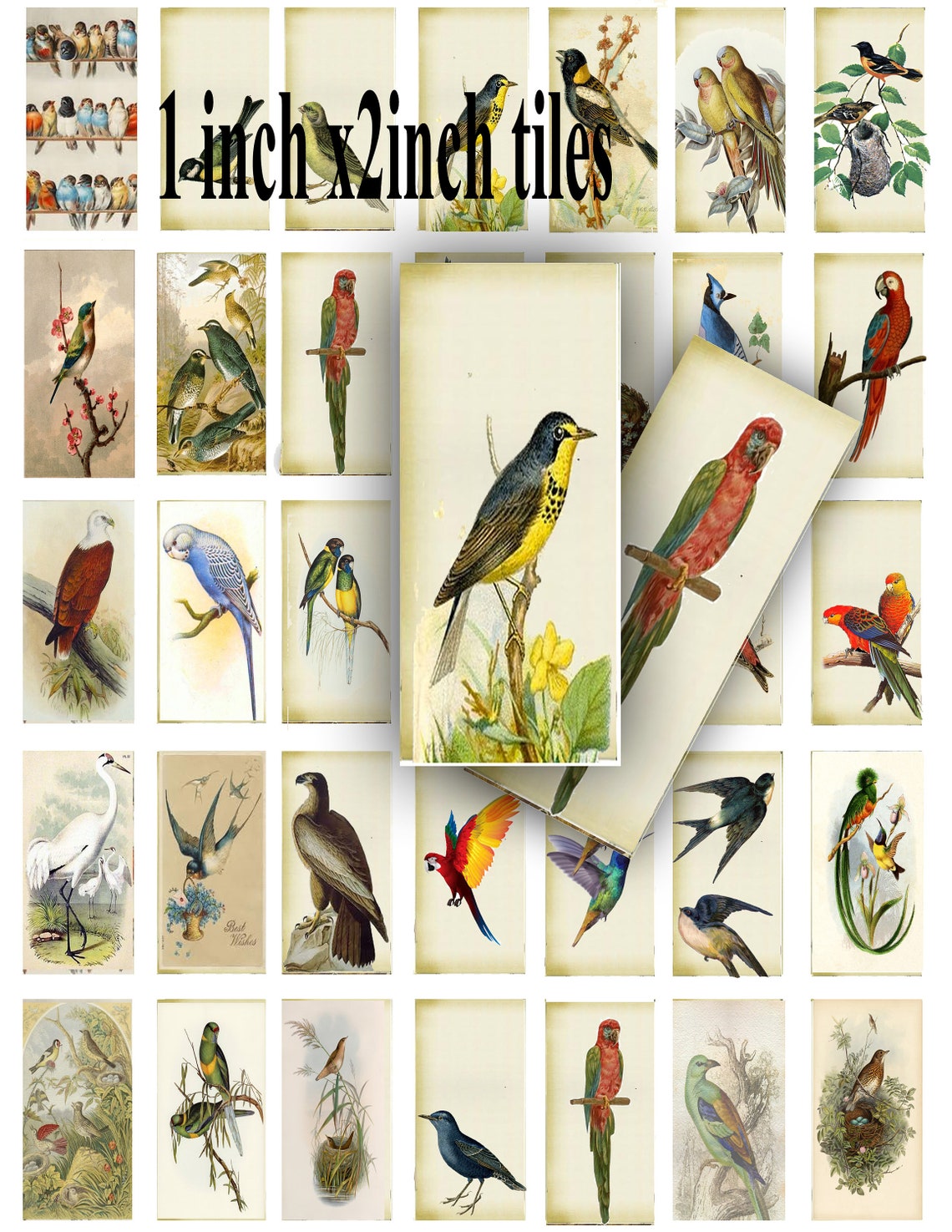 Vintage Birds Collage Sheet Printable Downloads for Journaling Craft ...