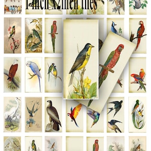 Vintage Birds Collage Sheet Printable Downloads for Journaling Craft ...