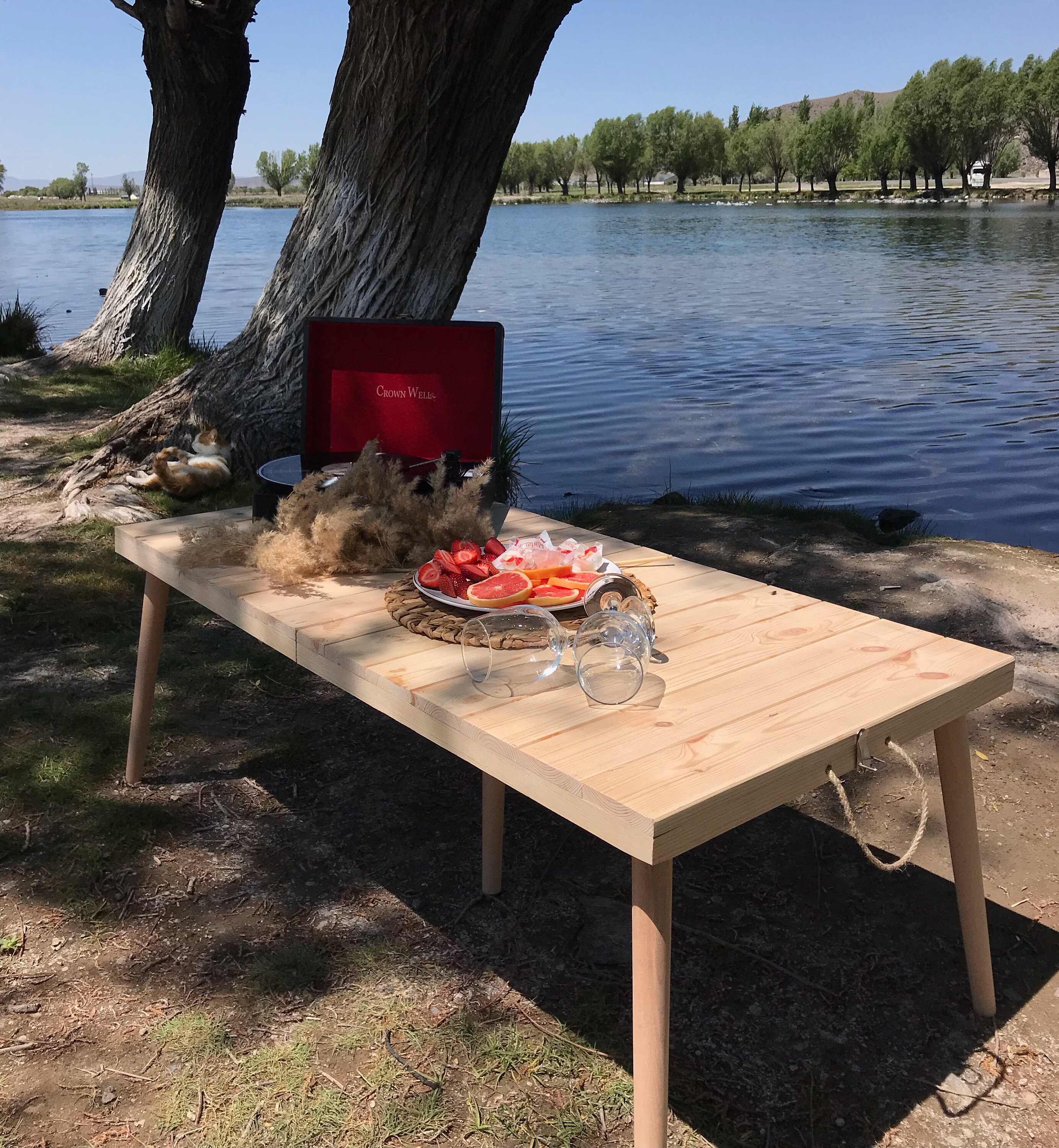 Picnic Table Boho Table Car Picnic Table Folding - Etsy