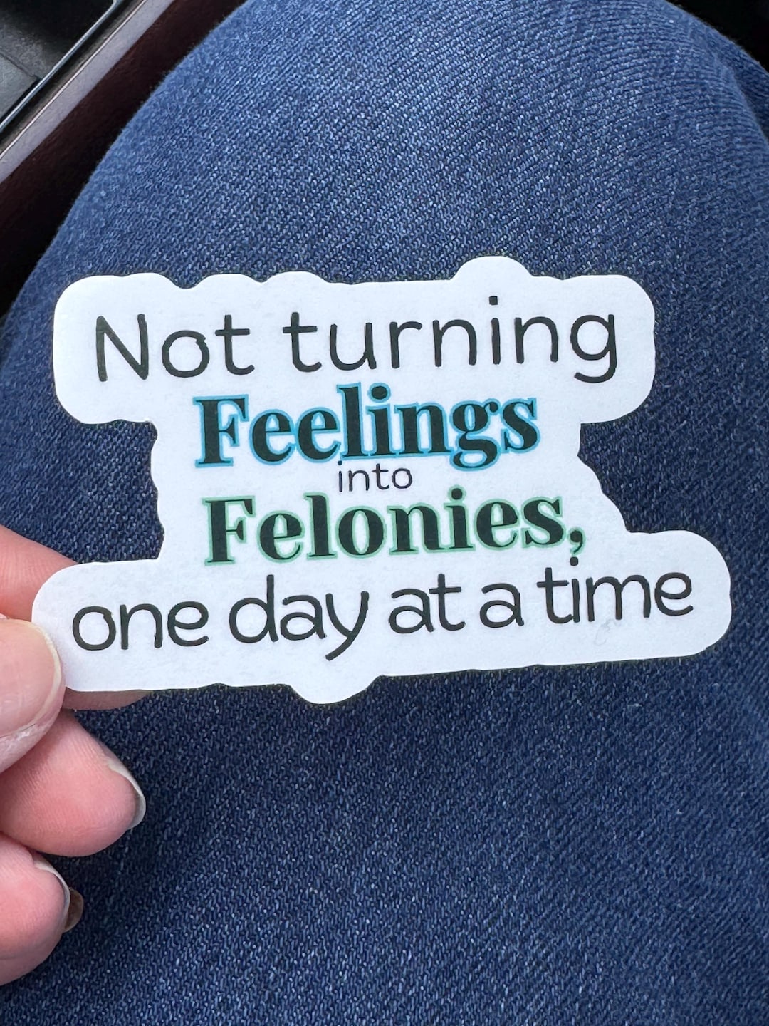 Not Turning Feelings Into Felonies, One Day at a Time | Vinyl Sticker ...