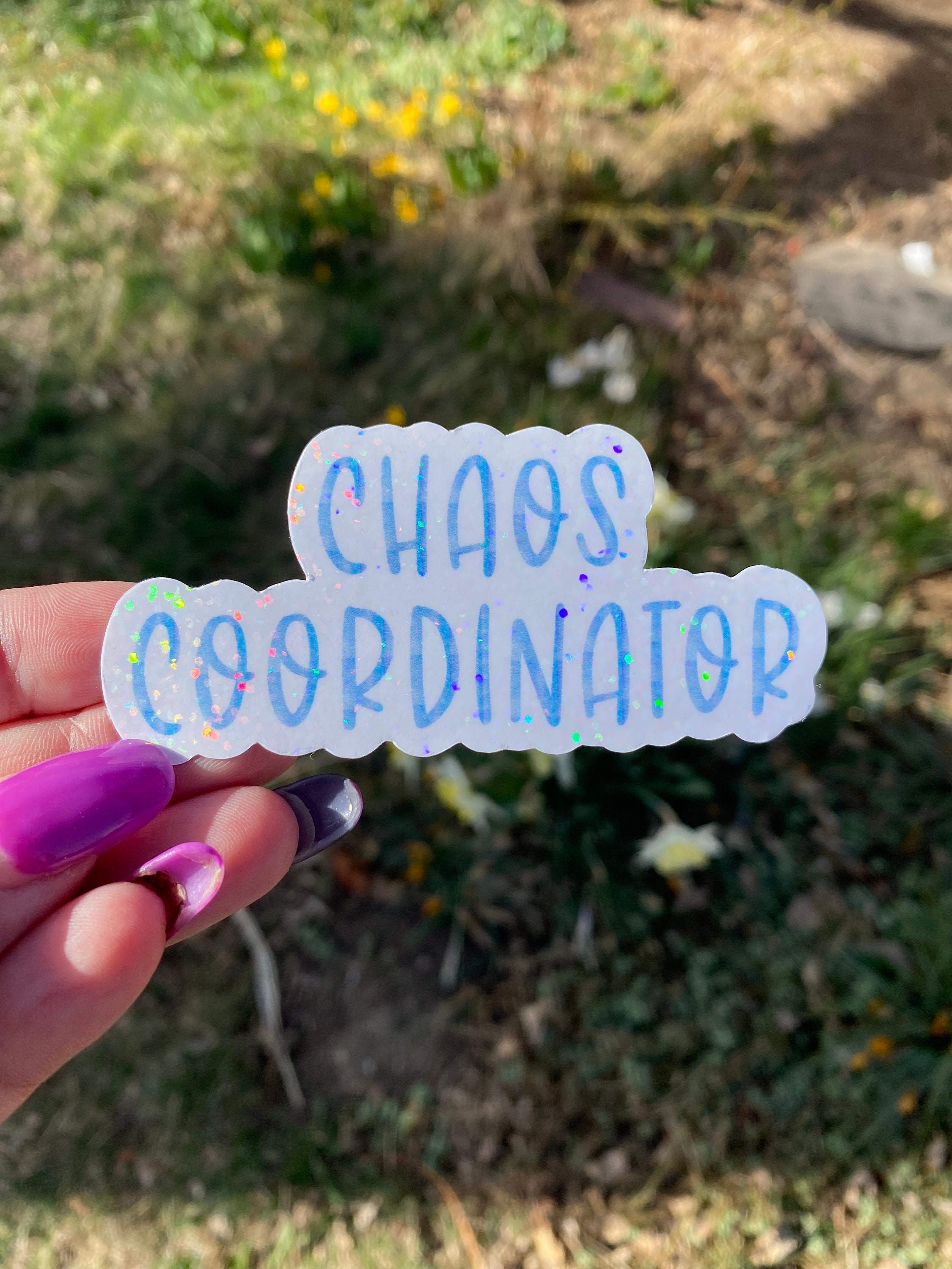 Chaos Coordinator Vinyl Sticker - Holographic Waterproof Decal - Etsy