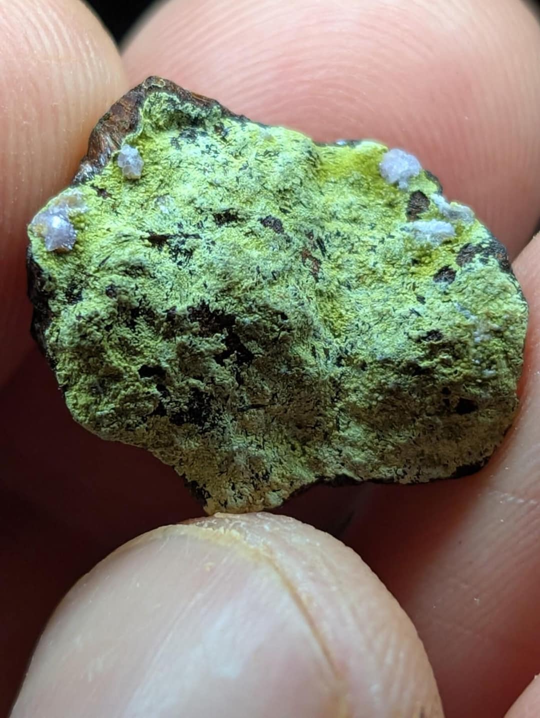Rare Strengite, Kidwellite and Beraunite -3 Oaks Gap Mine, Polk Co ...
