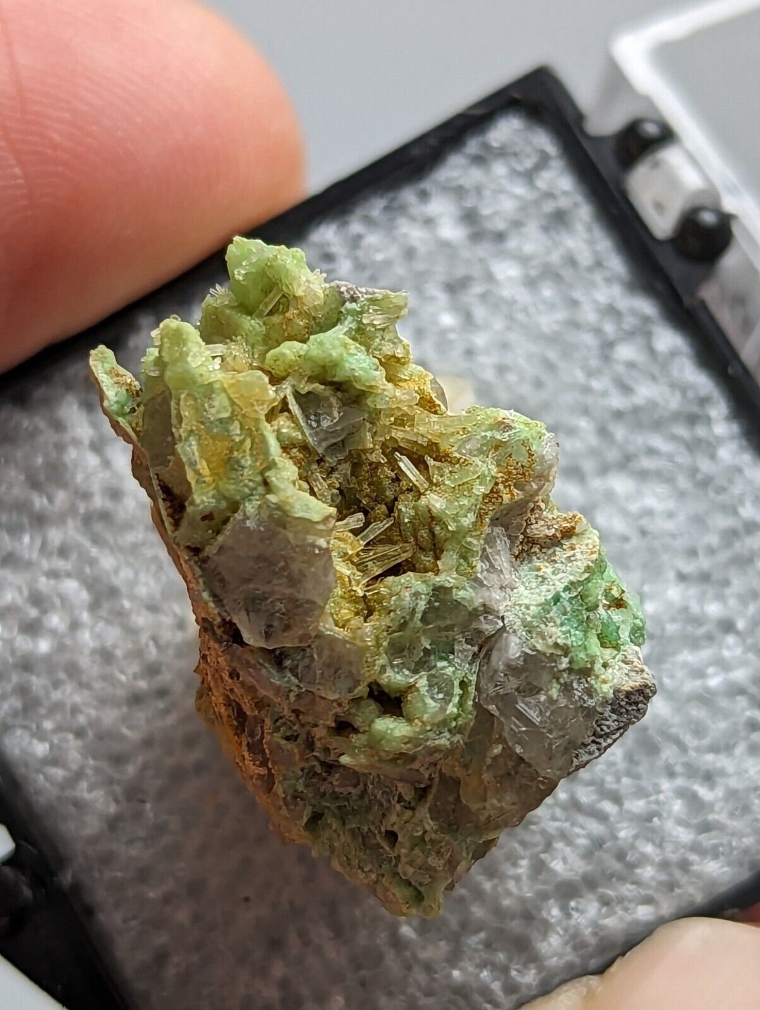 Super Rare Old Stock Wavellite on Variscite, Big Fork, Polk Co ...