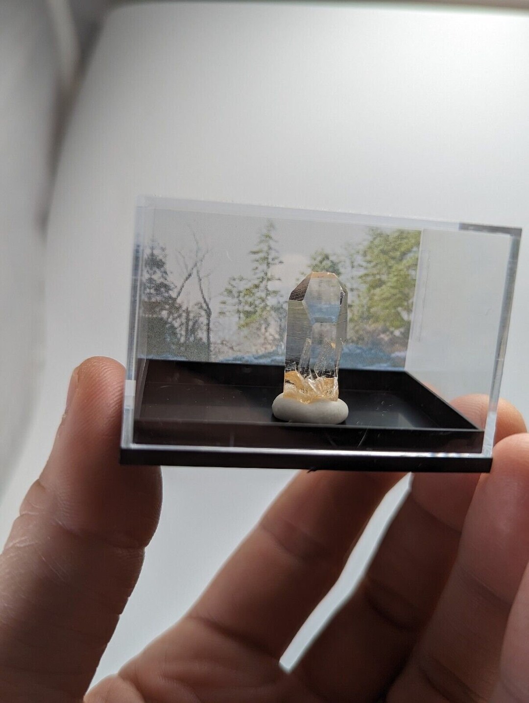 Natural Arkansas Optical Quartz Crystal Point W/ Unique Photo Display ...