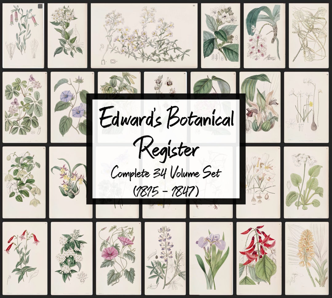 Edward's Botanical Register ~ Complete 34 Volume Set ~ 1815 - 1847 ...