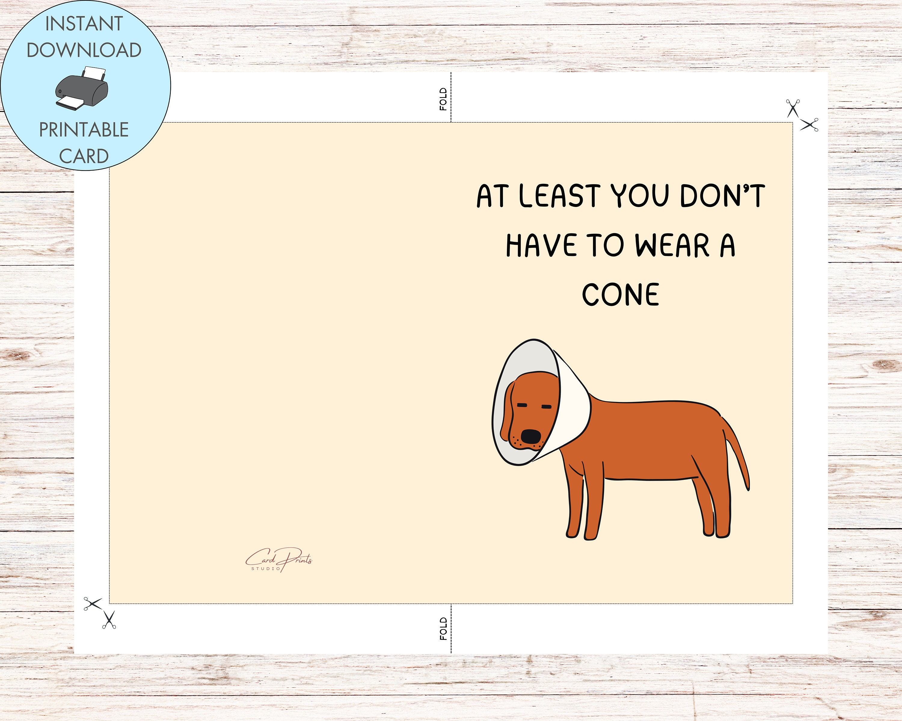 Printable Get Well Soon Card Funny Get Well Soon Card for Dog Lovers ...